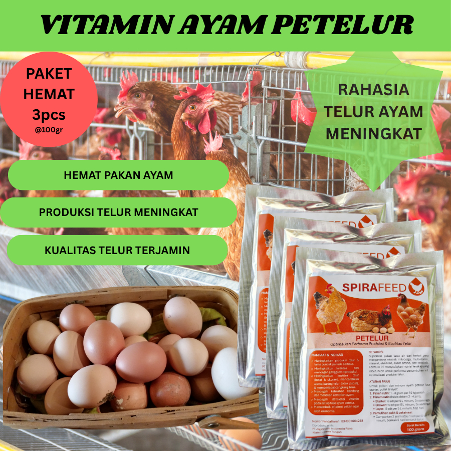 Jual [PROMO DAPAT 3] Vitamin Ayam Petelur Konsentrat Pur Ayam Petelur Vitamin Penggemuk Ayam ...