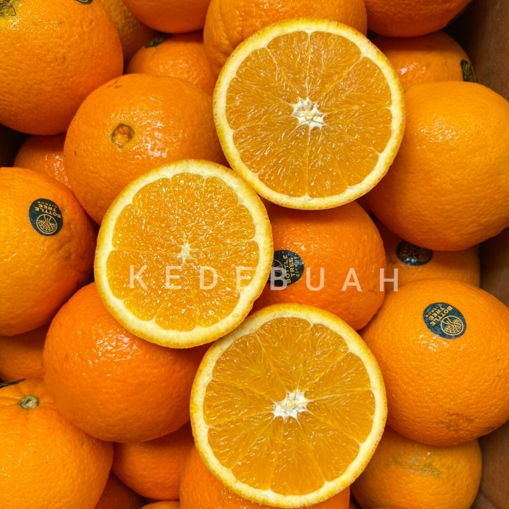 Jual Jeruk Navel Australia 1 Kg | Shopee Indonesia