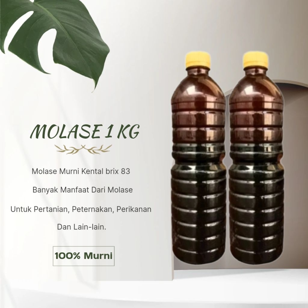 Jual Molase Tetes tebu Murni 1 Kg | Shopee Indonesia