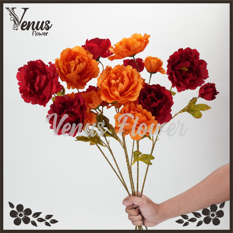 Jual Bunga Mutan Tangkai Panjang Cabang 3 Peony Jumbo Flowers Besar ...