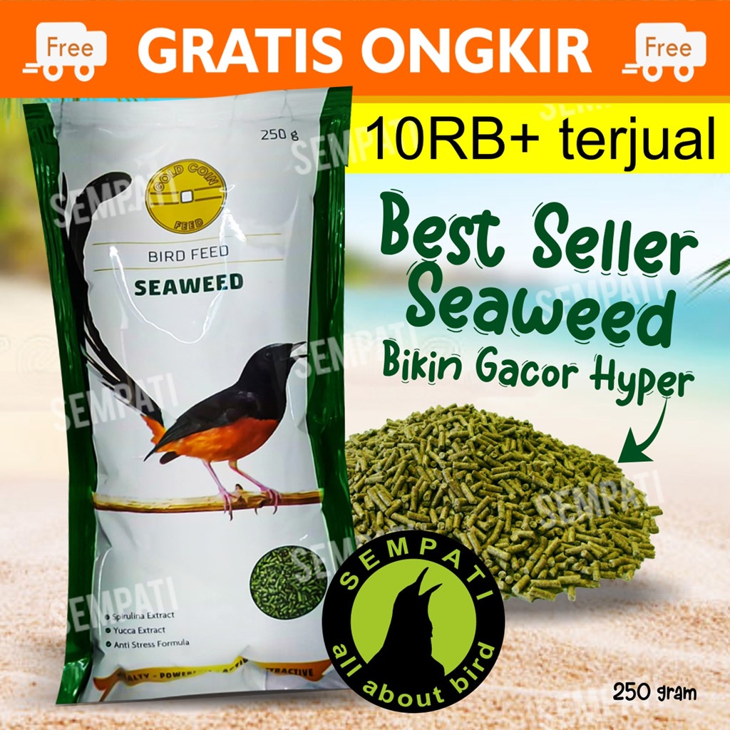 Jual SEMPATI GOLD COIN SEAWEED 250 GRAM GOLDCOIN RUMPUT LAUT HIJAU IJO ...