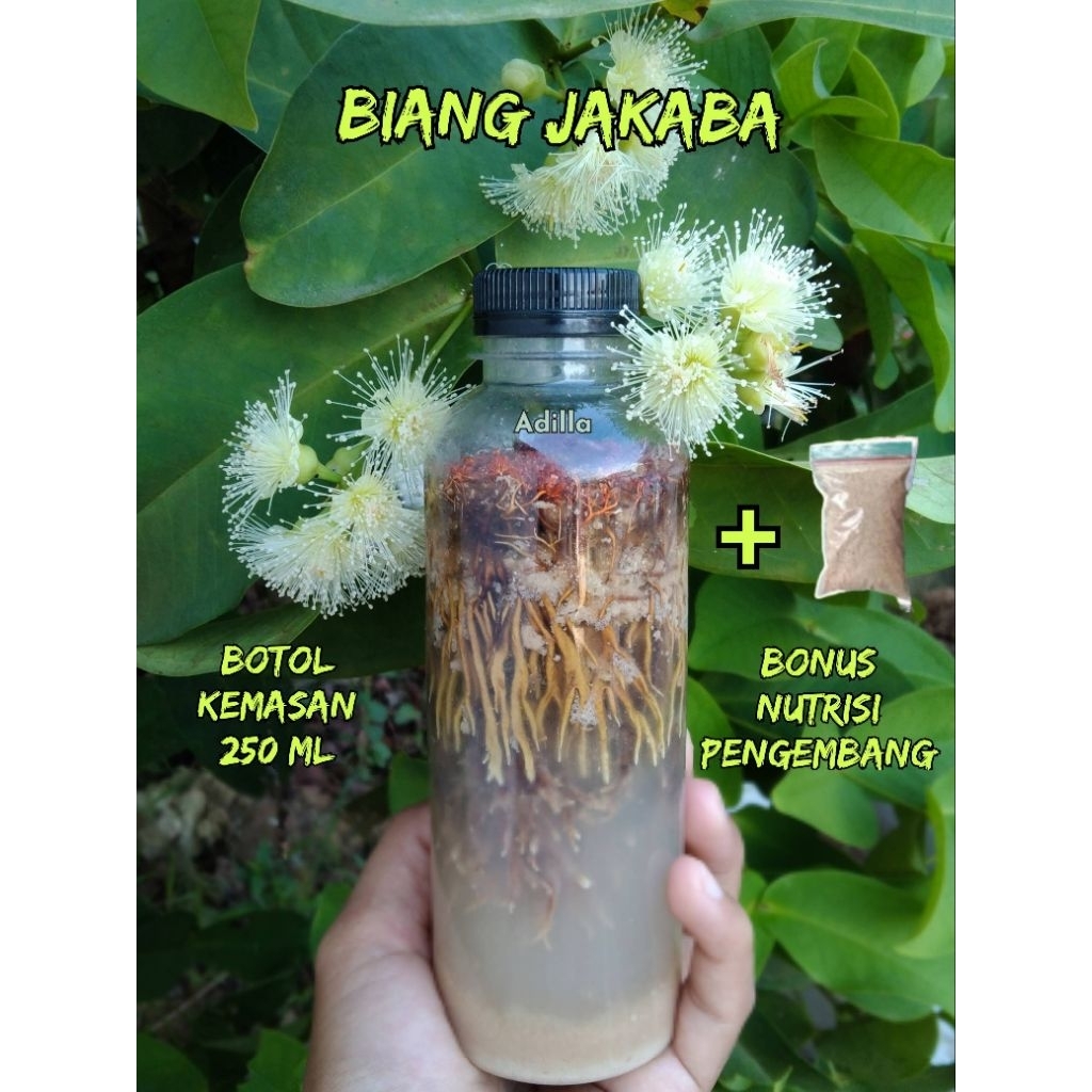 Jual Spora Bibit Biang Jamur Jakaba Botol 250ml | Shopee Indonesia