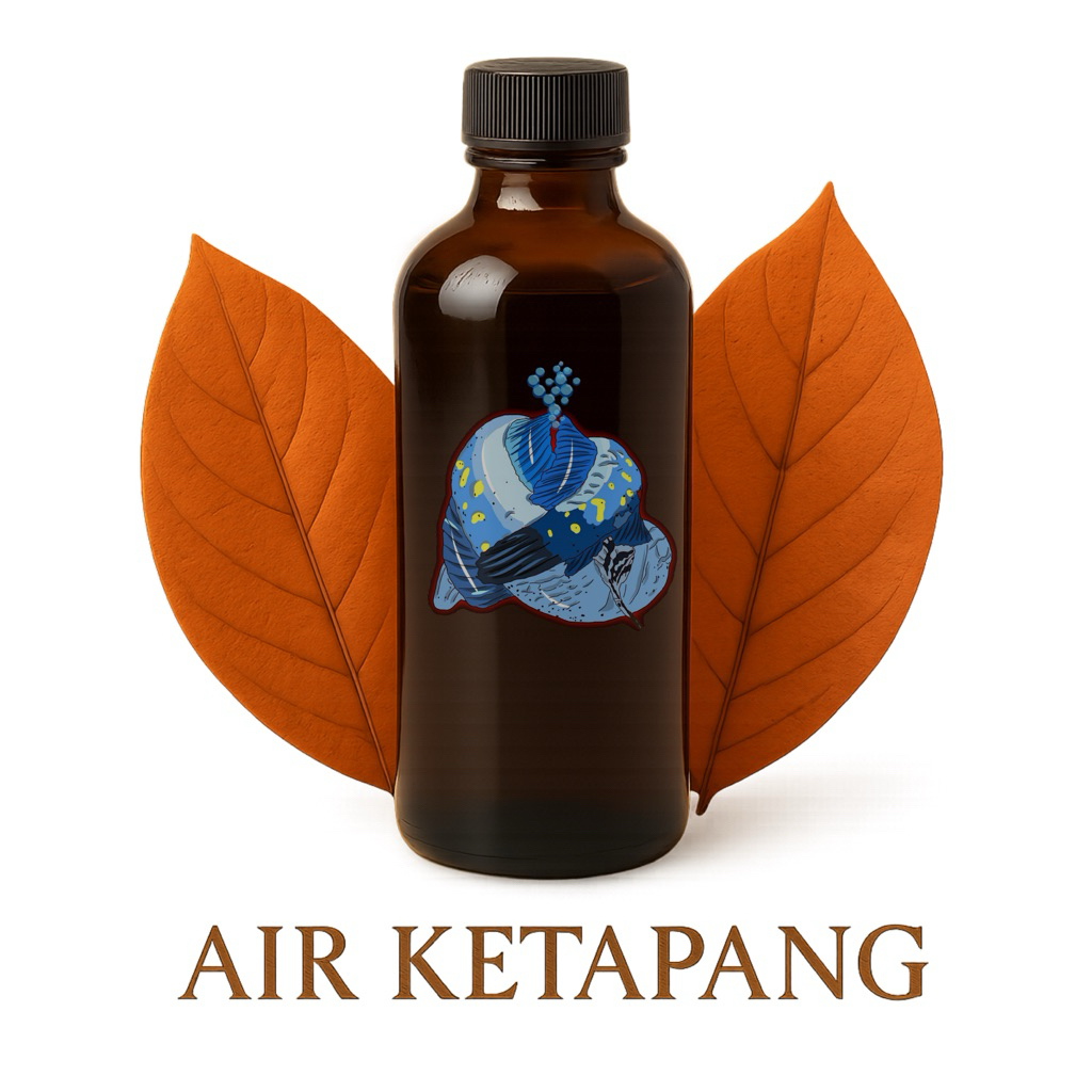 Jual AIR KETAPANG LIMBAT OMBYK | Shopee Indonesia