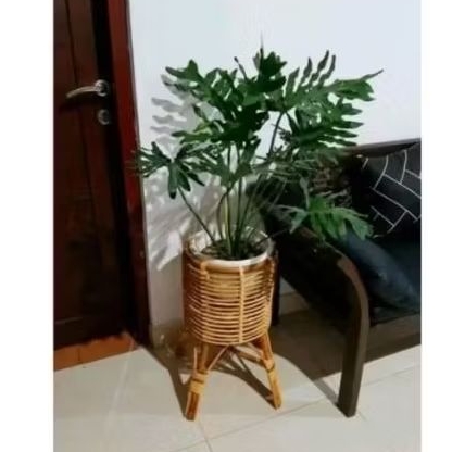 Jual Standing Pot Rotan Tempat Pot Rotan diameter 35 cm | Shopee Indonesia