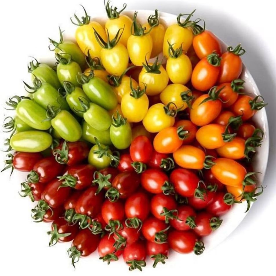 Jual Highland Tomato Grape mix 1kg | Shopee Indonesia