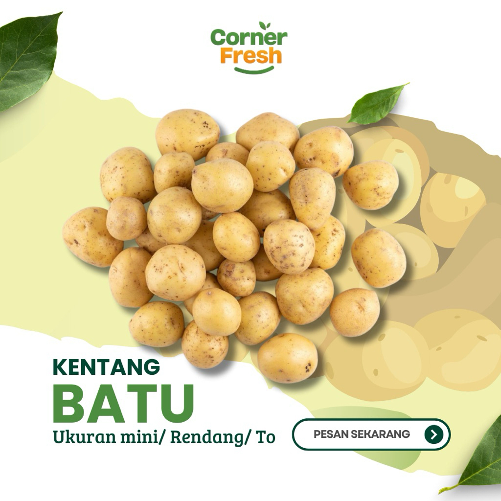 Jual Kentang Batu Malang Mini / TO / Rendang 1 Kg isi 60-70 – Kentang ...