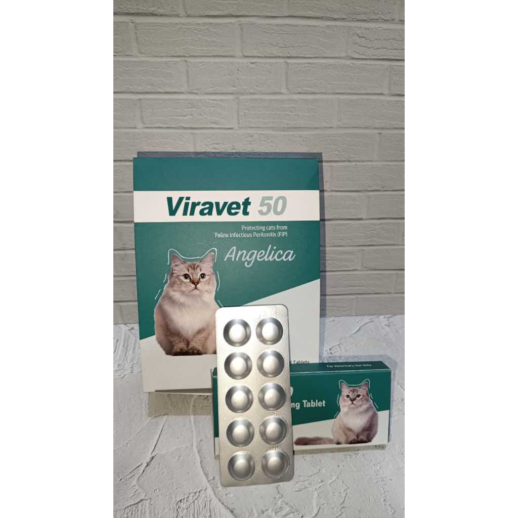 Jual obat fip kucing (Fip Basah - Fip Kering - Fip Neuro) HARGA PER ...