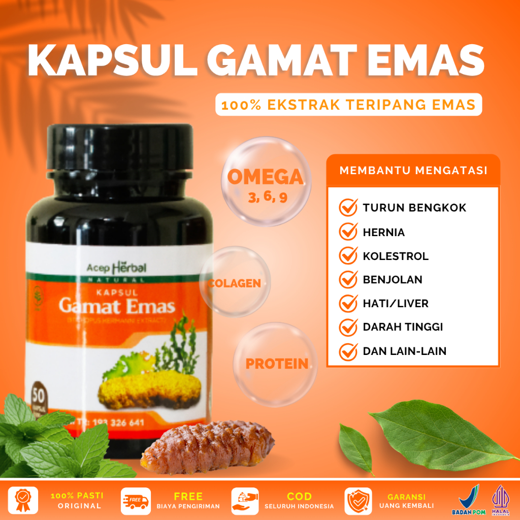 Jual KAPSUL GAMAT EMAS Ekstrak Teripang Emas 100% Original Isi 50 ...