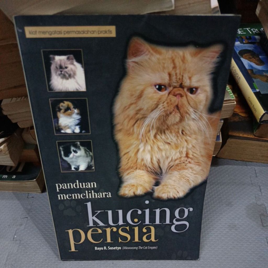 Jual Buku Cat Lover Panduan Memelihara Kucing Persia Original | Shopee ...