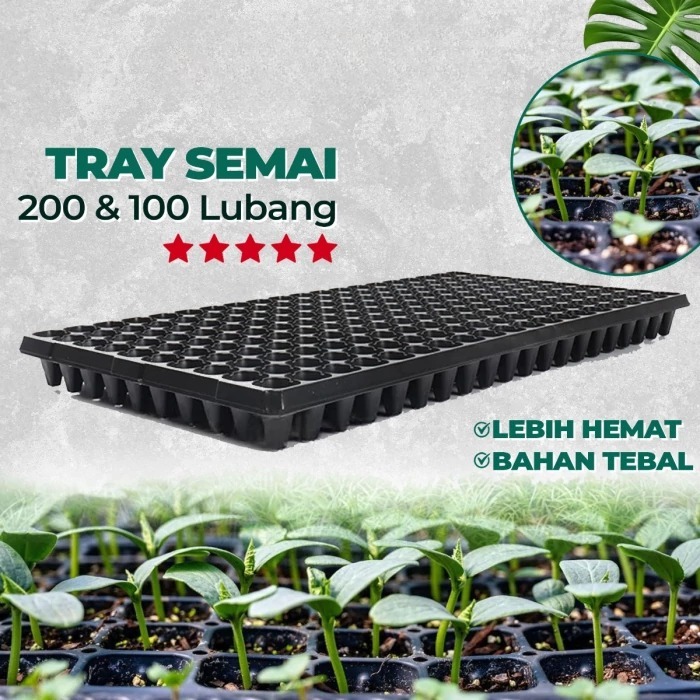 Jual Tray Semai Pot Tray Penyemaian Bibit Tanaman 200 & 100 Lubang | Shopee Indonesia