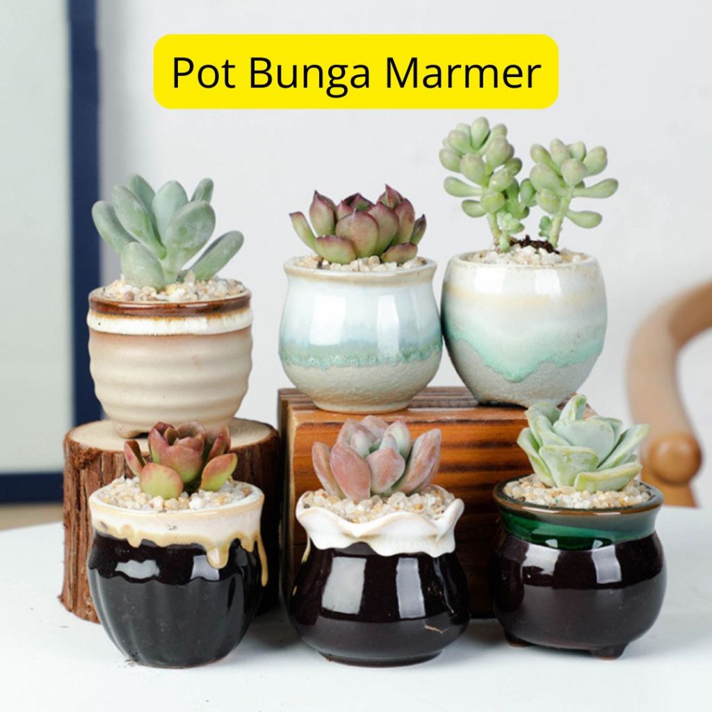 Jual Pot Bunga Keramik Marmer Mini – Pot Hiasan Tanaman Sukulen Unik ...