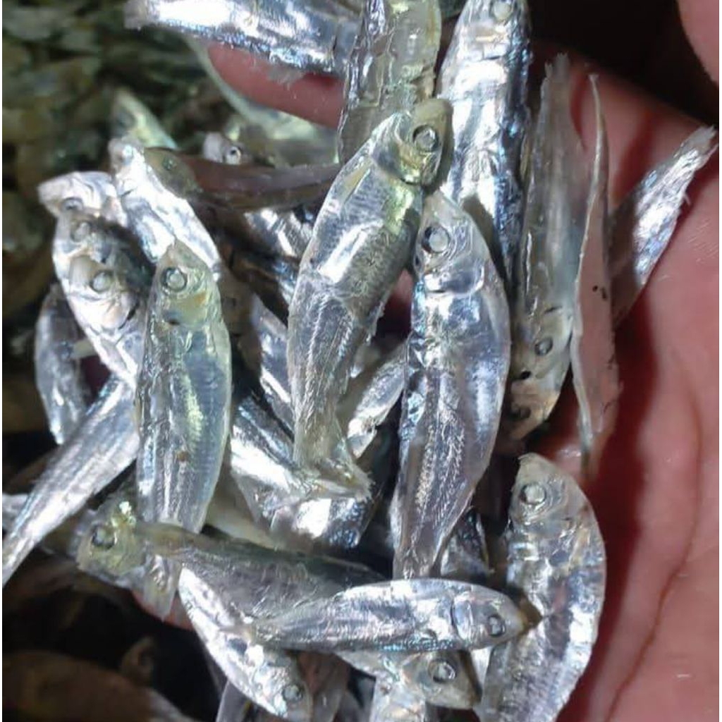 Jual Ikan Tanjan Ninis Size 3-5 cm 500 Gram ( 1/2 Kilogram ) | Shopee ...