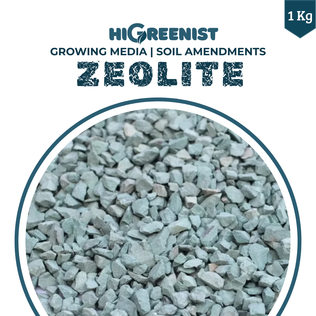 Jual Zeolite (1Kg) - Media Tanam Zeolite Cocok Untuk Bonsai & Kaktus ...
