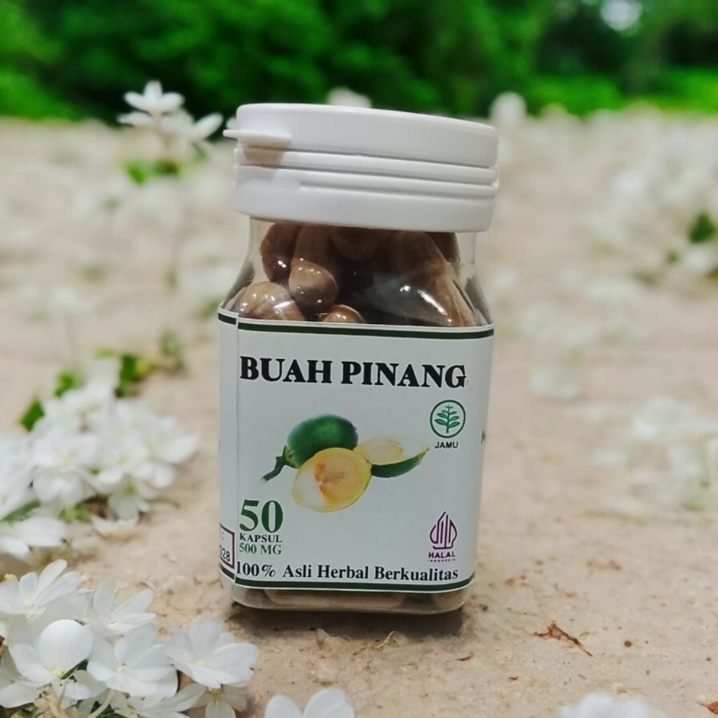 Jual Buah Pinang Muda Kapsul Murni Berkhasiat | Shopee Indonesia
