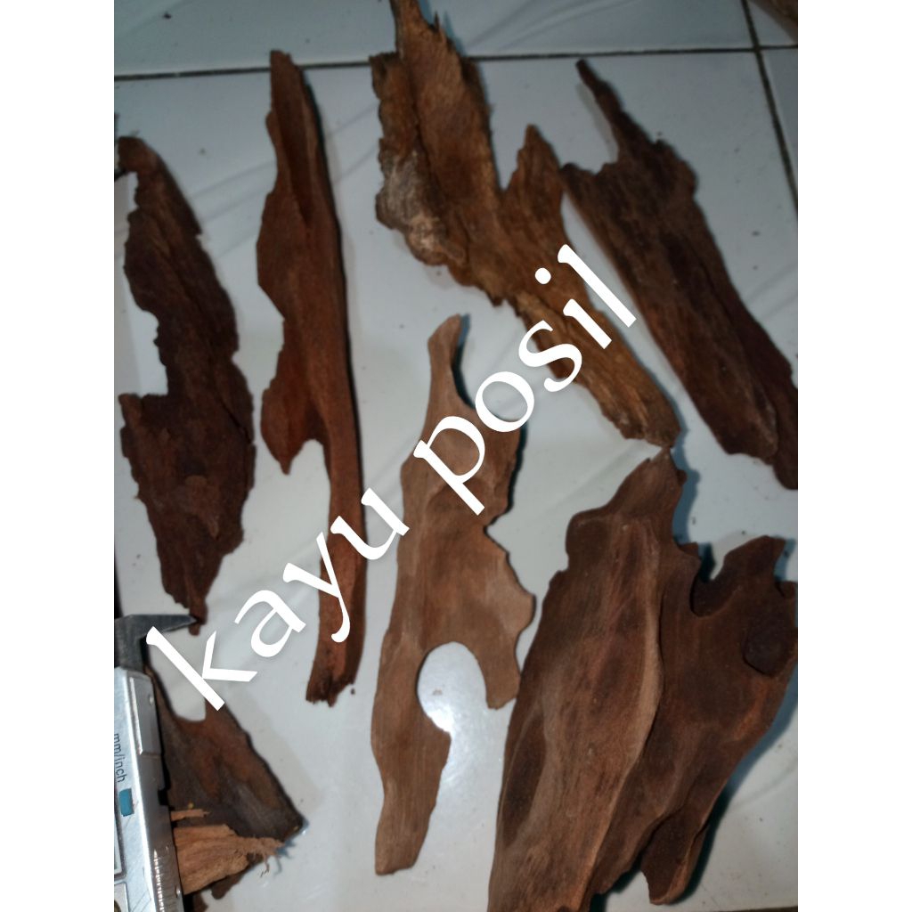 Jual kayu rentek posil ber kualitas bahan dekorasi aquasqaepe | Shopee ...