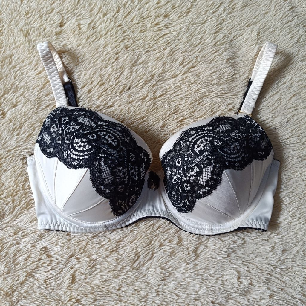 Jual Push up Bra Secret Possesions Lace : 32D, 34D | Shopee Indonesia