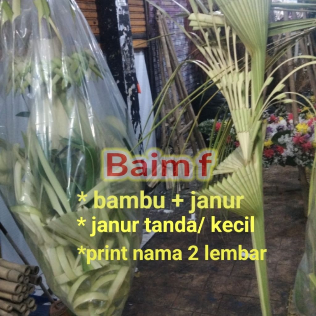 Jual janur pernikahan satu paket (janur besar 1 & janur kecil 1)free ...