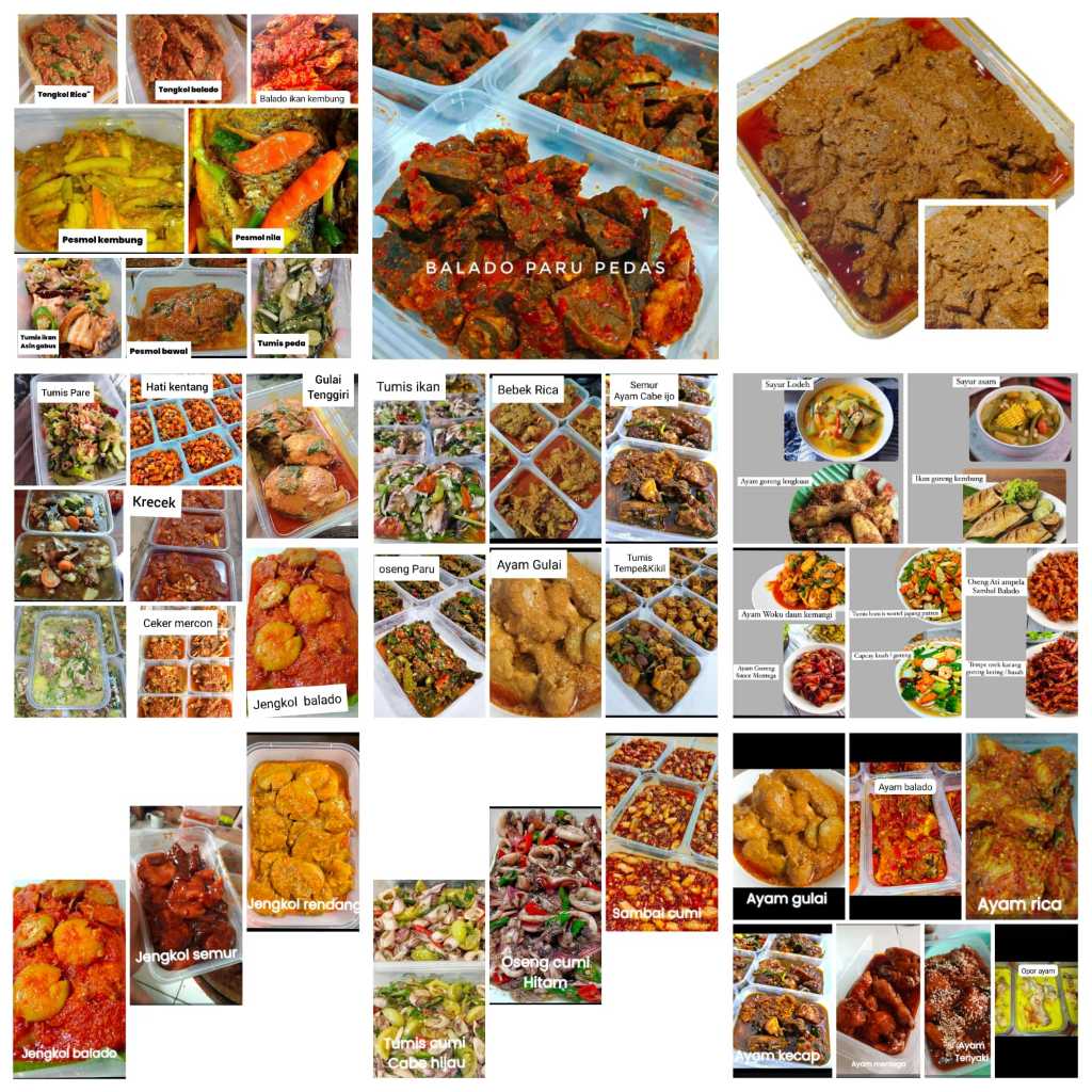 Jual Aneka Lauk Siap Saji Kemasan Box (Frozen) / Lauk Pauk Siap Santap ...