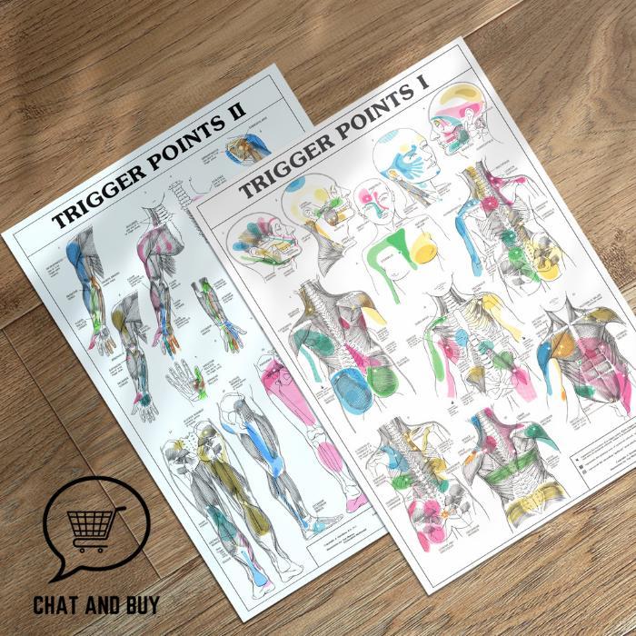 Jual Trigger Point set - Trigger Point Chart Poster / Poster ...