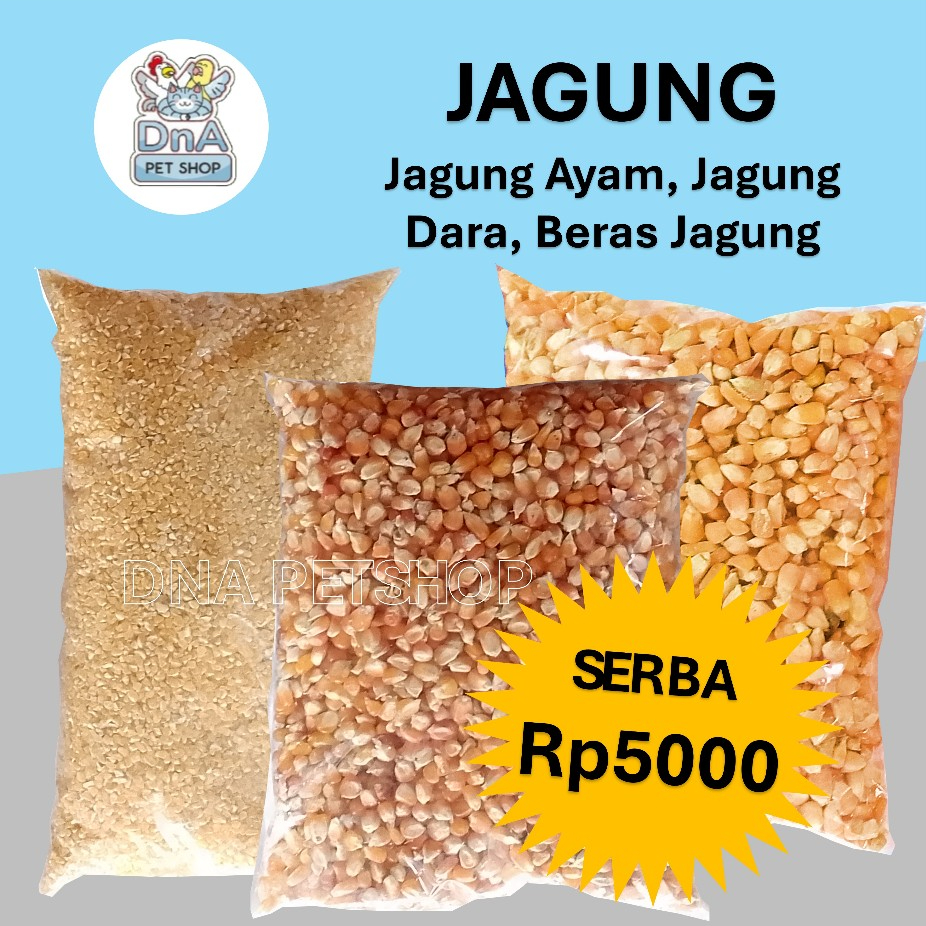 Jual Serba 5000 Jagung Ayam Jagung Dara Beras Jagung Repack | Shopee ...