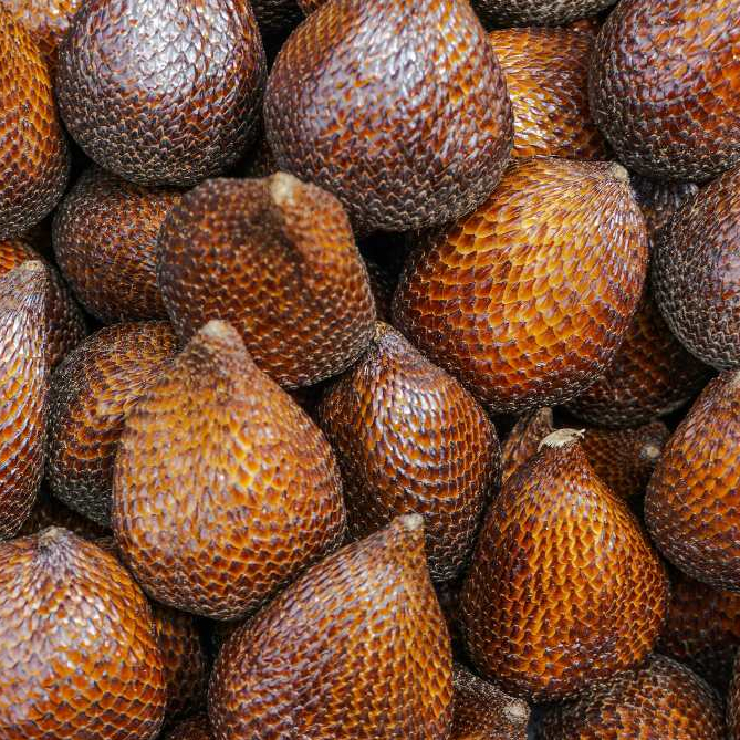 Jual Salak 1 Kg _ Buah Salak 1 Kg | Shopee Indonesia