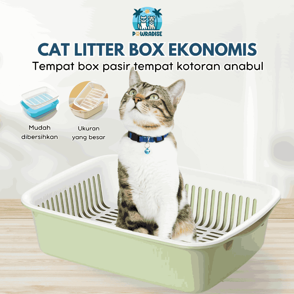Jual CAT LITTER BOX EKONOMIS - CAT LITTER - BAK PASIR KUCING - TEMPAT ...