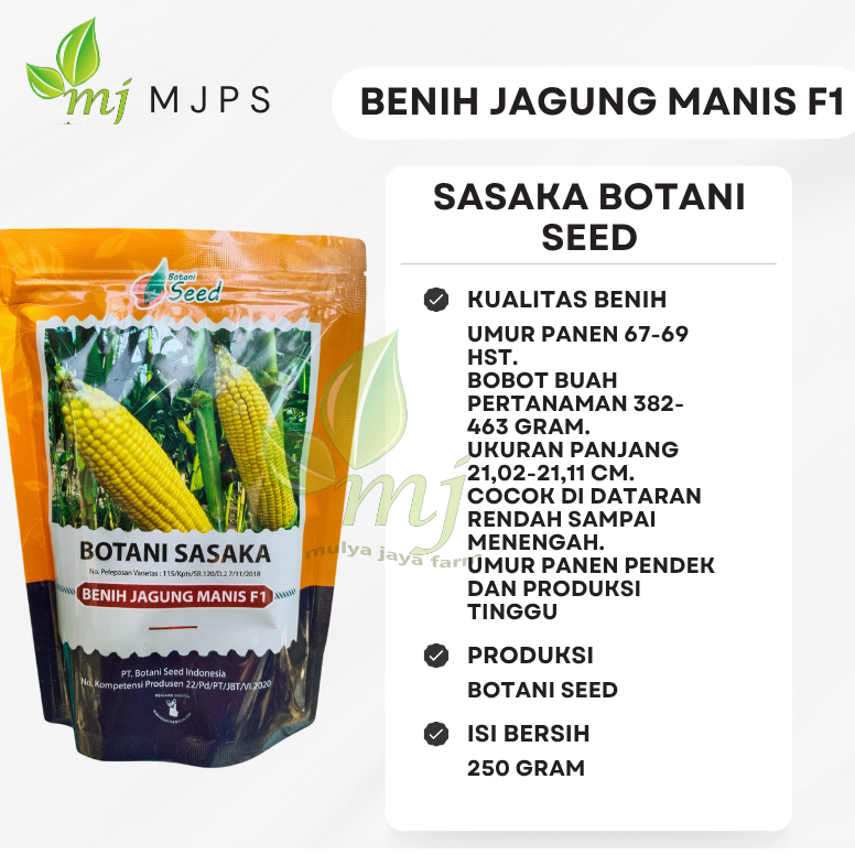 Jual [ New ] Benih Jagung Manis Hibrida F1 Botani Sasaka Botani Seed ...