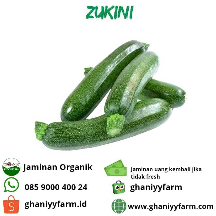 Jual Sayur Organik Zucchini Organik 500Gram | Shopee Indonesia