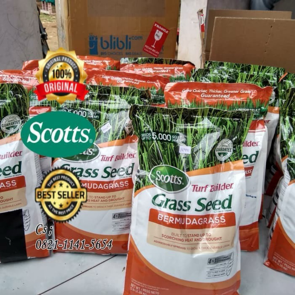 Jual Benih Biji Rumput Bermuda Grass Scotts kemasan 5 lb 2.26 kg ...