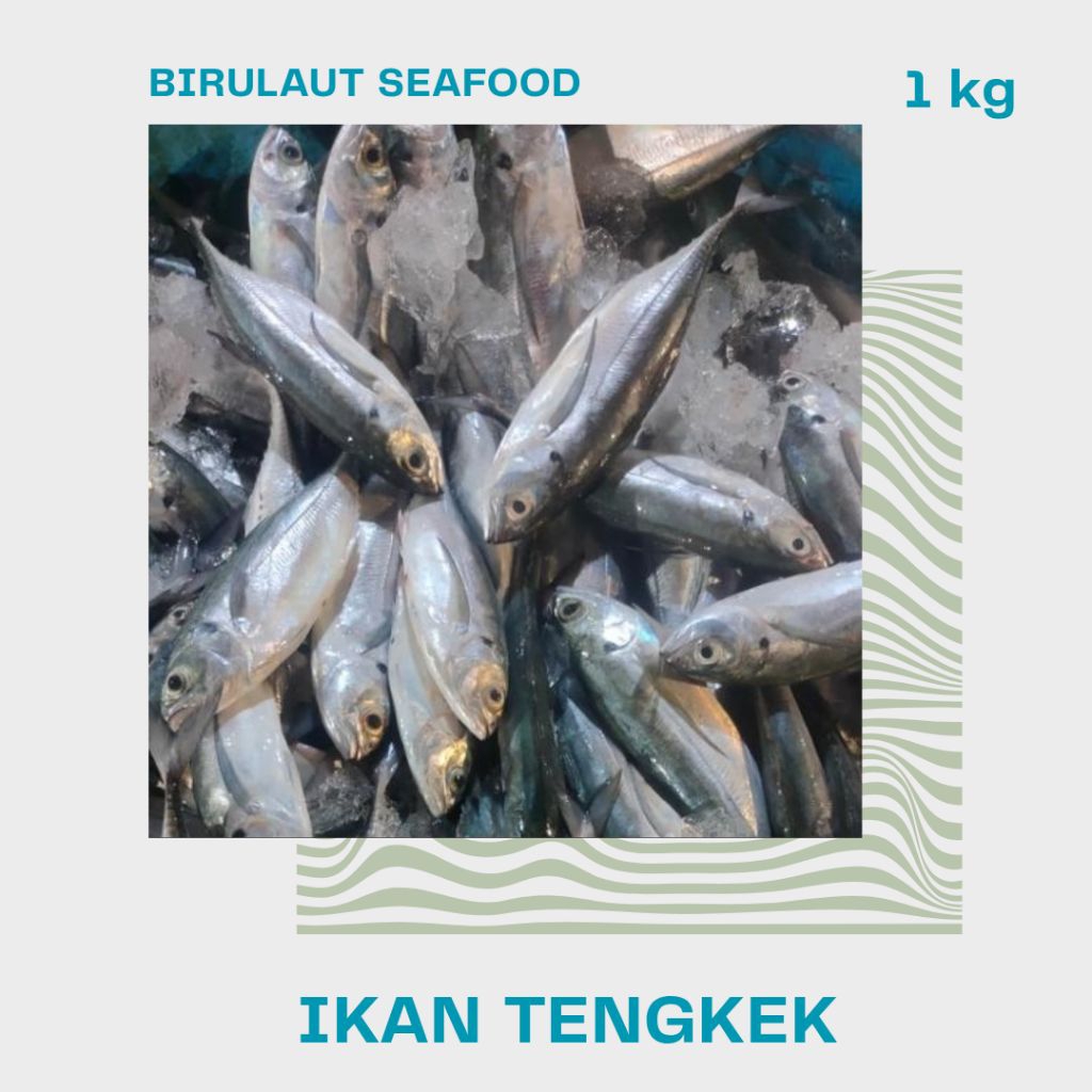 Jual IKAN TENGKEK SEGAR 1kg | Shopee Indonesia