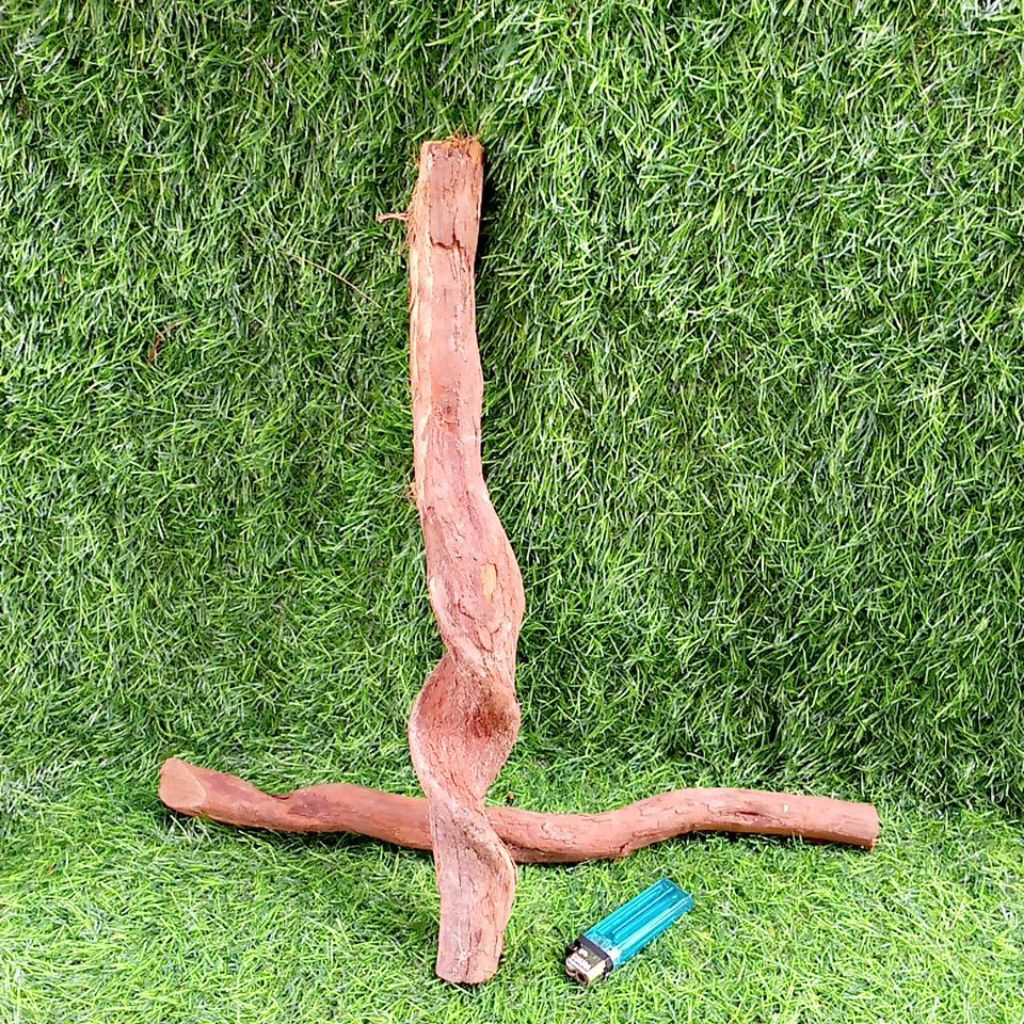 Jual kayu aquascape akar stigi gunung | Shopee Indonesia