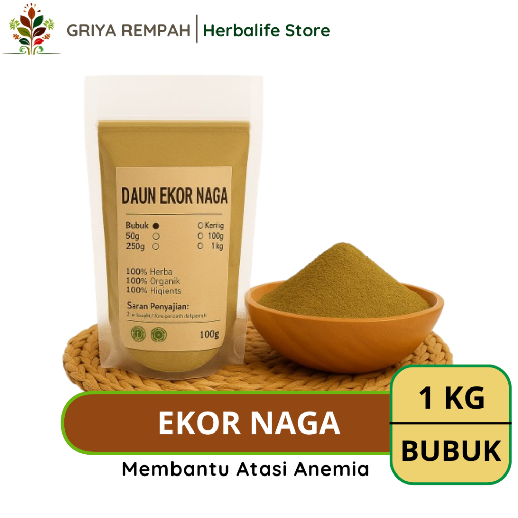 Jual DAUN EKOR NAGA BUBUK 1 KG Samblung Rempah Herbal Simplisia Alami ...