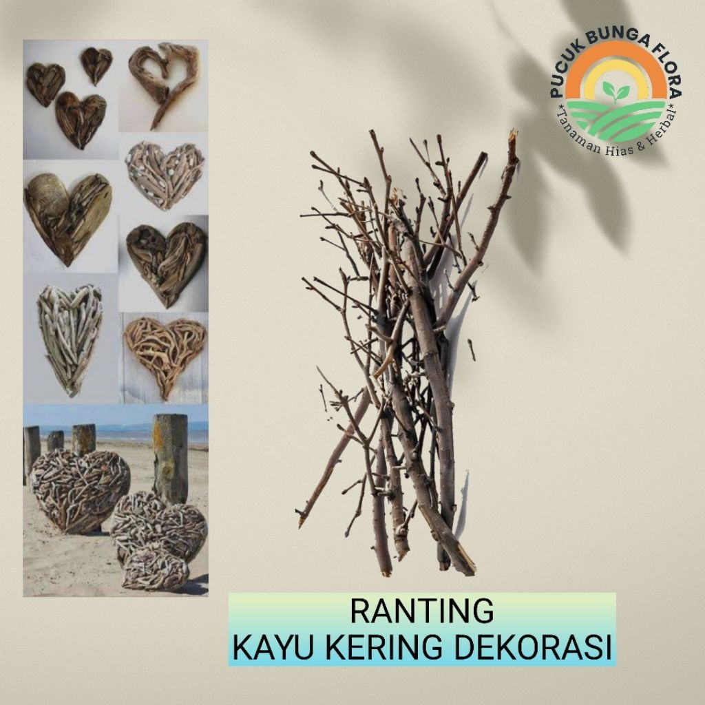Jual ranting kayu kering dekorasi alami ranting pohon kering ranting ...