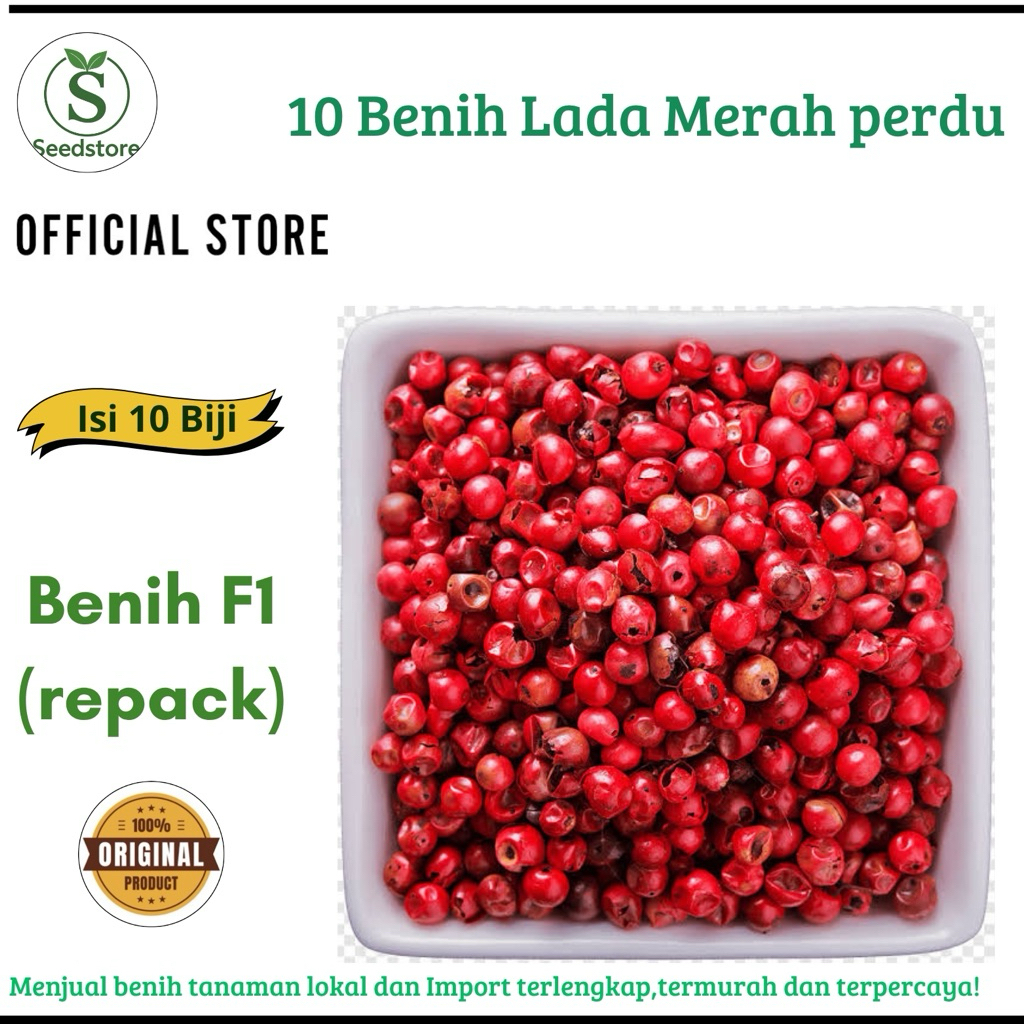 Jual 10 Benih Lada Merah perdu | Shopee Indonesia