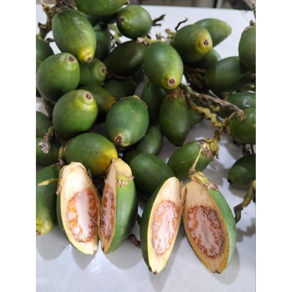 Jual Buah Pinang Muda / Buah Jambe Muda | Shopee Indonesia