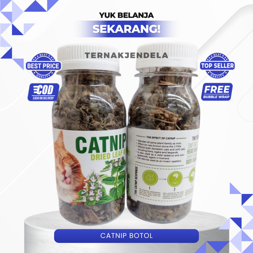 Jual CATNIP BOTOL - Daun Akar CATNIP Makanan Mainan Kucing Catmint ...
