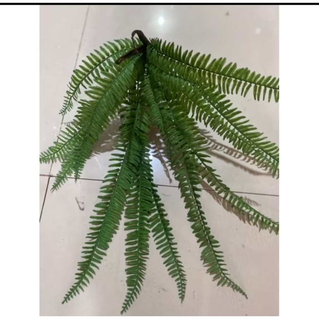 Jual DAUN PAKIS JUNTAI ARTIFICIAL PALSU | Shopee Indonesia