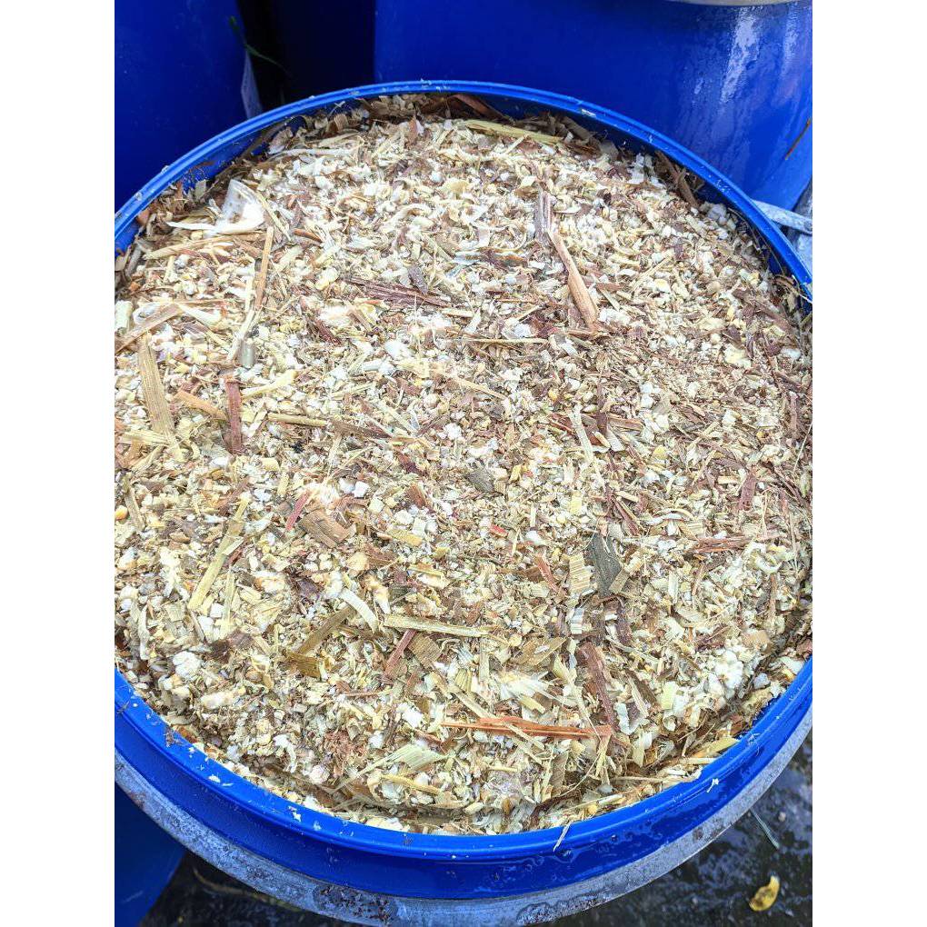 Jual SILASE PAKAN TERNAK KAMBING SAPI DLL/ SILASE FERMENTASI MURAH 3KG | Shopee Indonesia