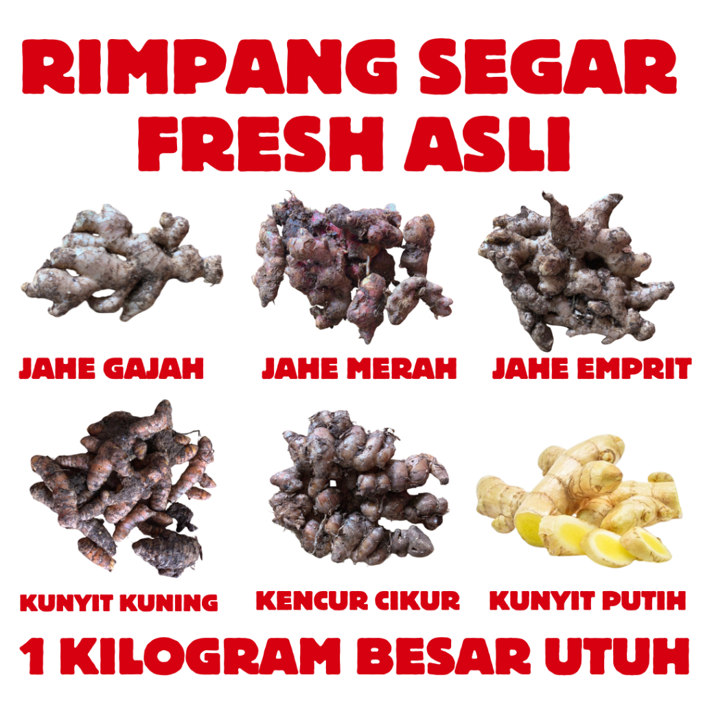 Jual Rimpang Segar Jahe Merah Asli | Jahe Gajah | Jahe Emprit | Kencur ...