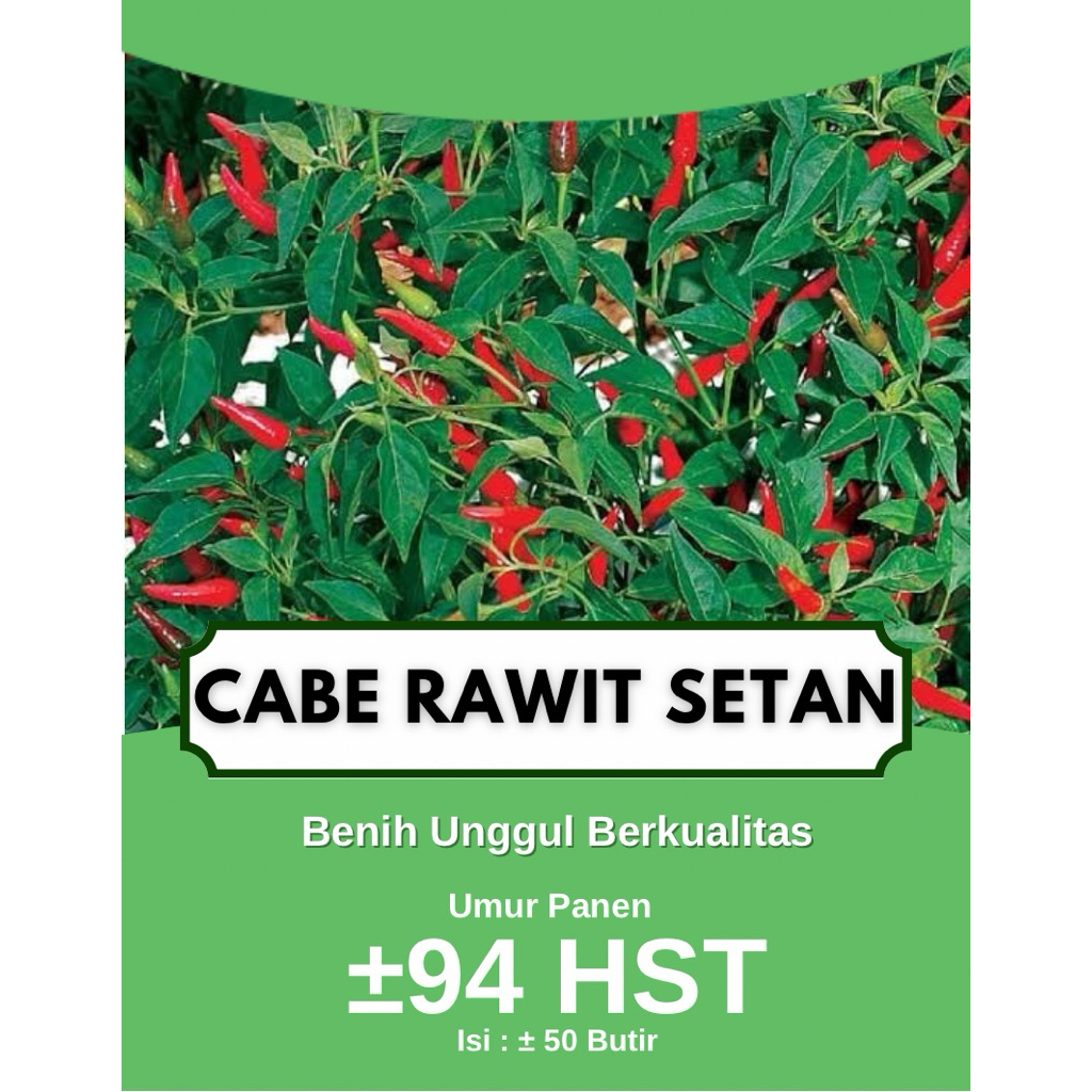 Jual BENIH CABE RAWIT SETAN ISI 50 BUTIR CABE MERAH CABE SULAWESI ...