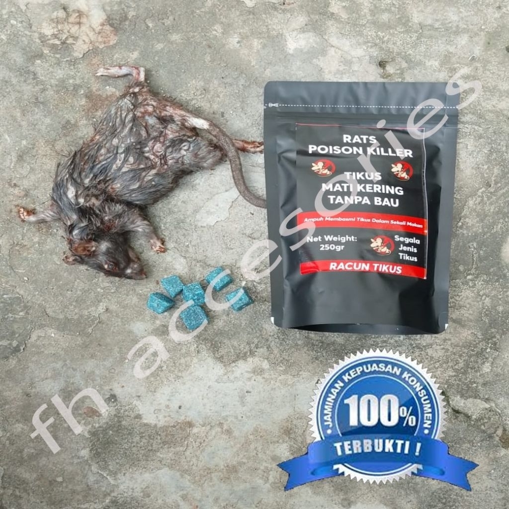 Jual RatKiller Racun Tikus Mati Kering Tanpa Bau 250 Gram Ampuh ...