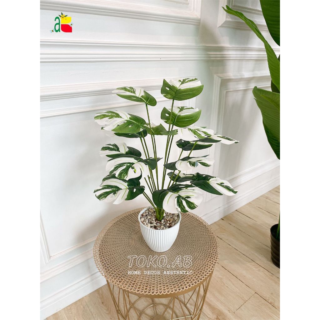 Jual BUNGA PLASTIK DAUN MONSTERA VARIEGATA KECIL D18T48 DEKORASI MEJA ...