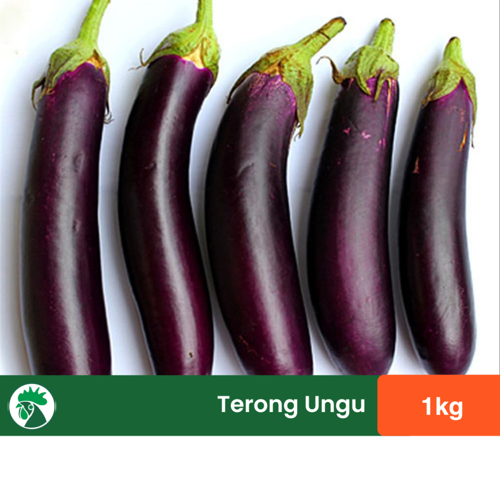 Jual Terong Ungu | Sayur Terong 1kg | Shopee Indonesia