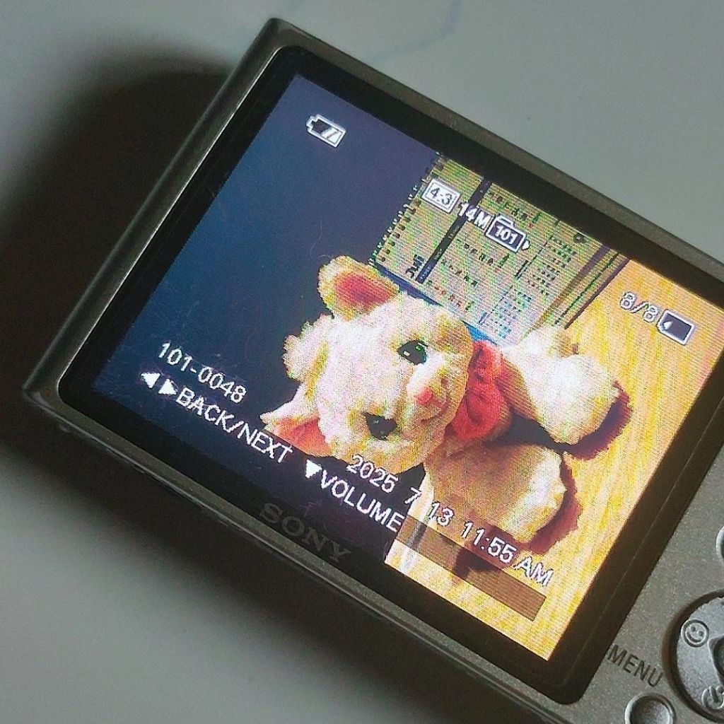Jual Digicam Sony Cybershot DSC-W320 | Shopee Indonesia