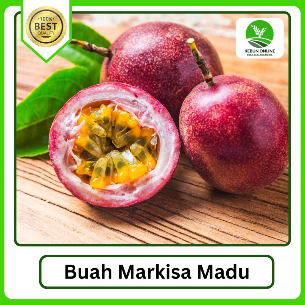 Jual Buah Markisa Madu / Markisa Merah Fresh [500g] murah Manis | Shopee Indonesia