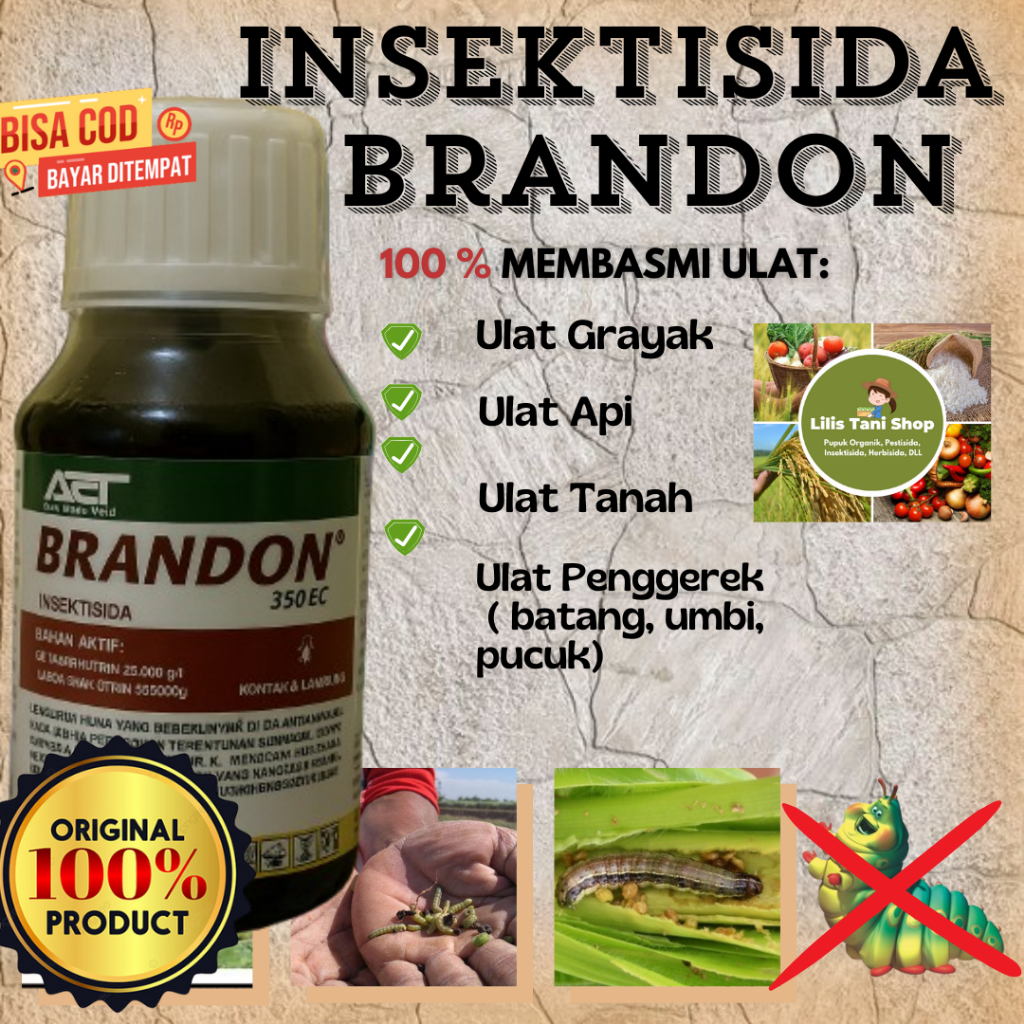 Jual (1 Botol =10 tangki) Brandon insektisida ampuh basmi hama ulat ...