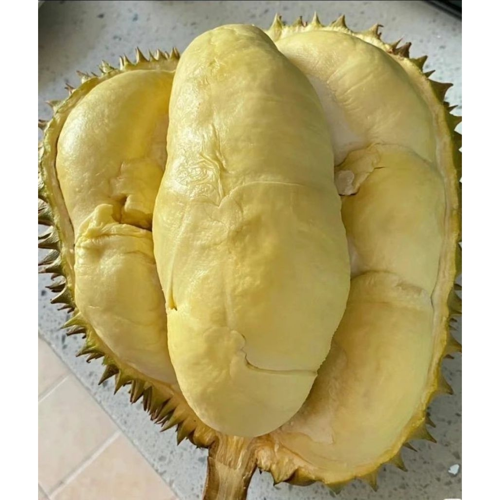 Jual Durian Super Montong - Durian Kupas Monthong 500Gram | Shopee Indonesia