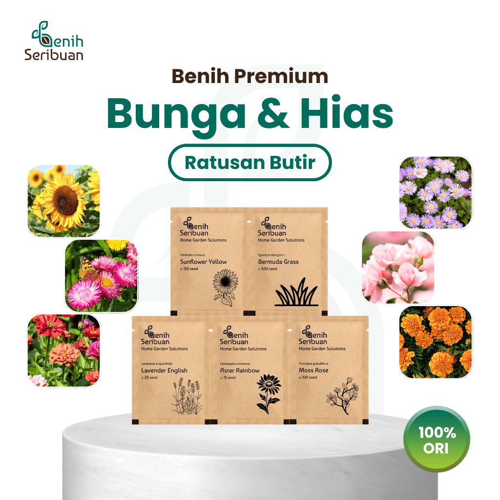 Jual Benih Seribuan - Benih Bunga & Tanaman Hias All Varian | Shopee ...