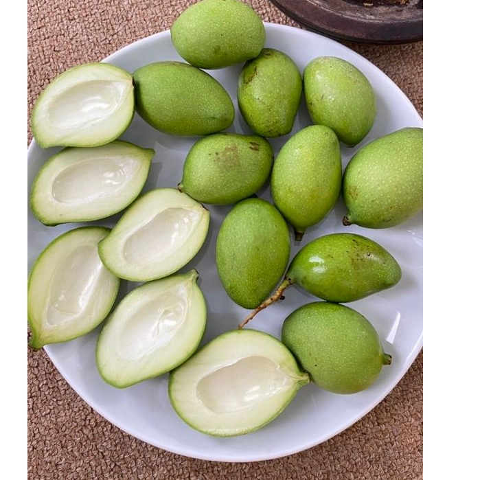 Jual MANGGA MUDA / Mangga Jamson / Mangga belah biji / mangga rujak ...