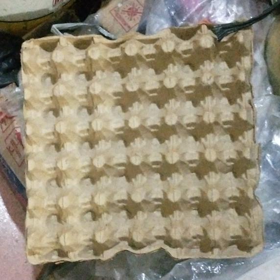 Jual TRAY KARTON TELUR - SARANG TELUR | Shopee Indonesia